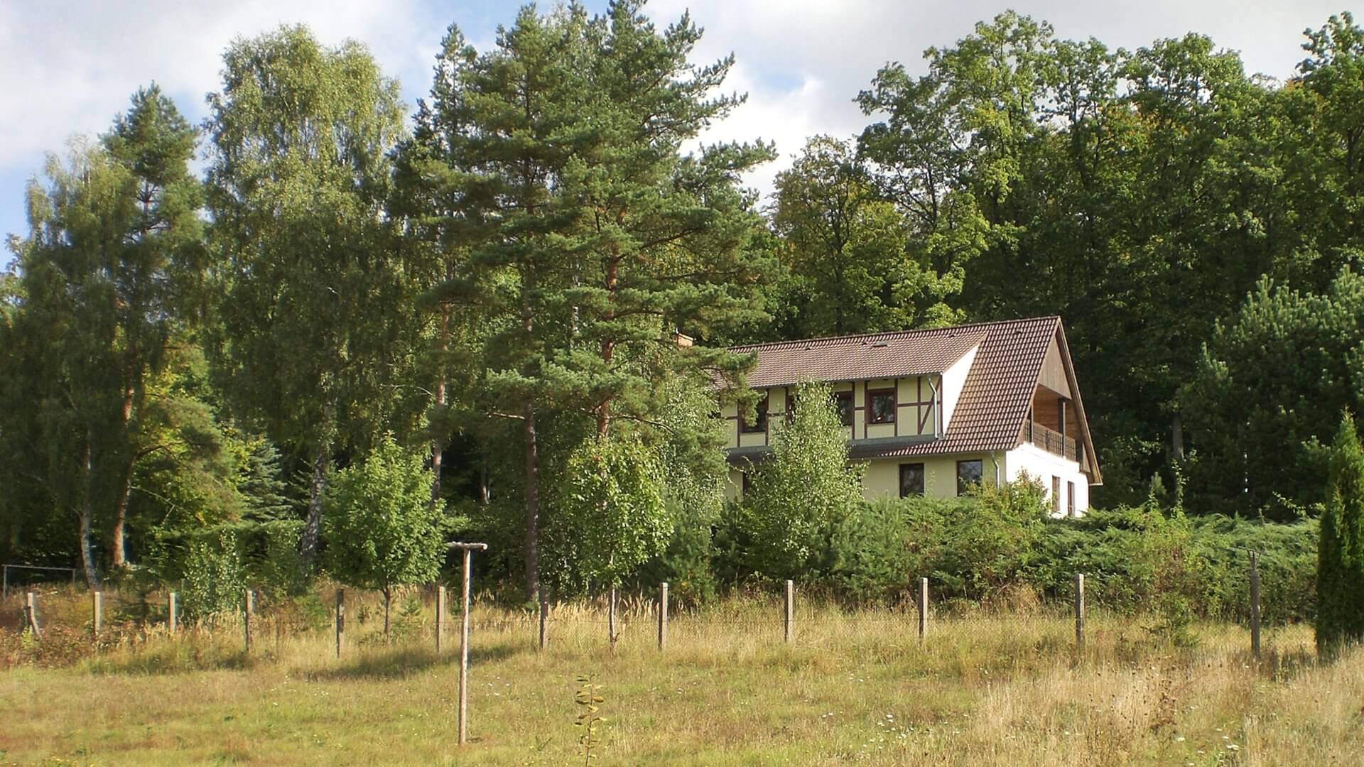 Neustrelitz - Wald-MV